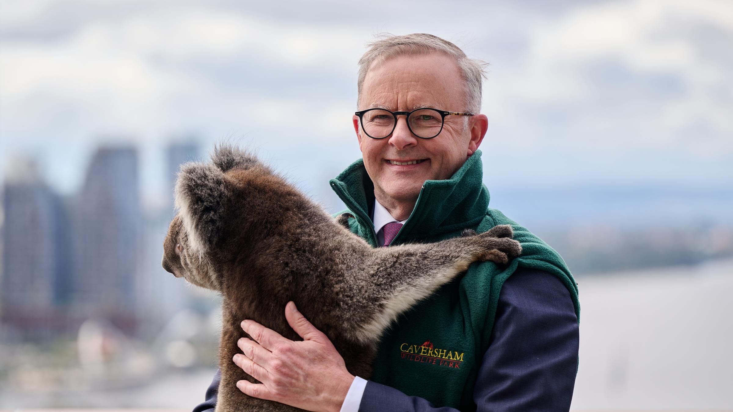 Albo Declares National Public Holiday.. But Only If Aussies Win The ...
